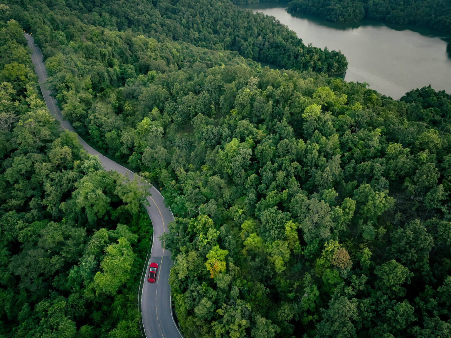 Meet Softeon | Softeon